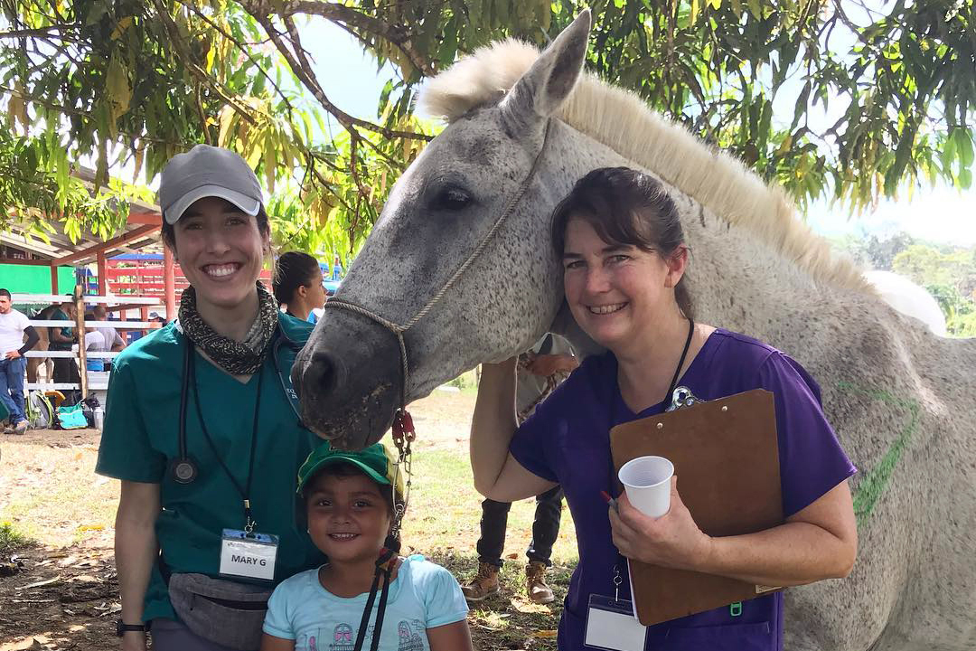 Volunteer Care for Working Equids a ‘Re-Energizing’ Endeavor ...