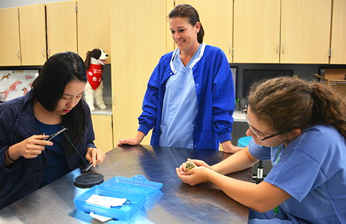 Local High School Students Participate in UW-Madison Paid Internship ...