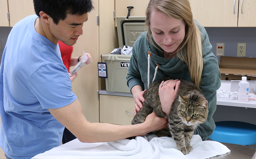 Student Support - University of Wisconsin School of Veterinary Medicine