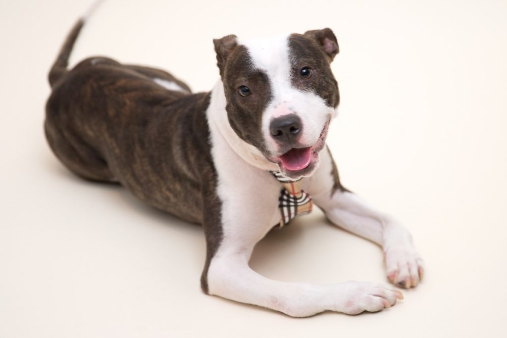 Patient Profile: A Rare Jem - University of Wisconsin School of ...