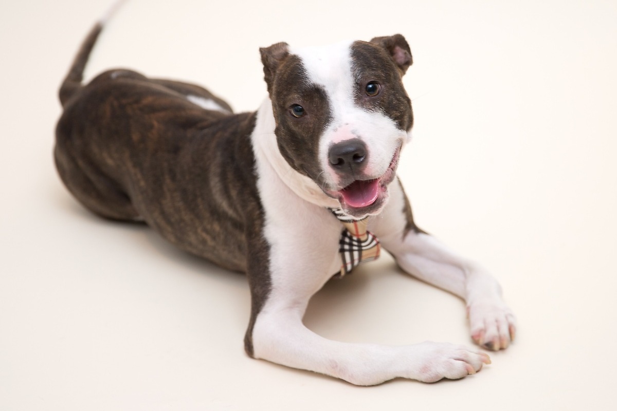 Patient Profile: A Rare Jem - University of Wisconsin School of ...