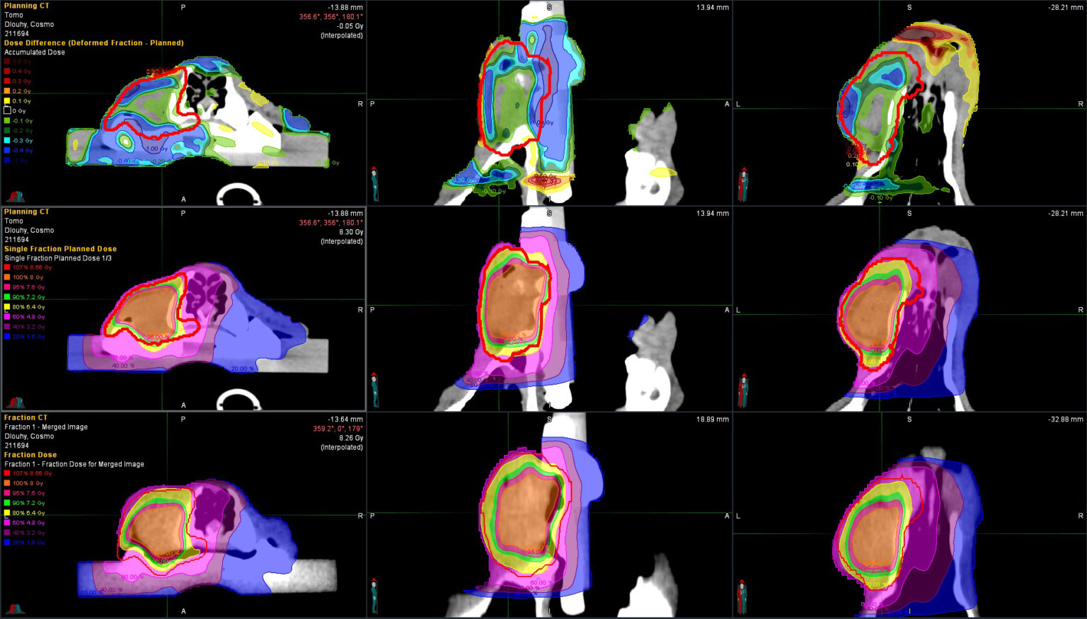 UW Veterinary Care Cancer Patients To Benefit From New, More Precise ...