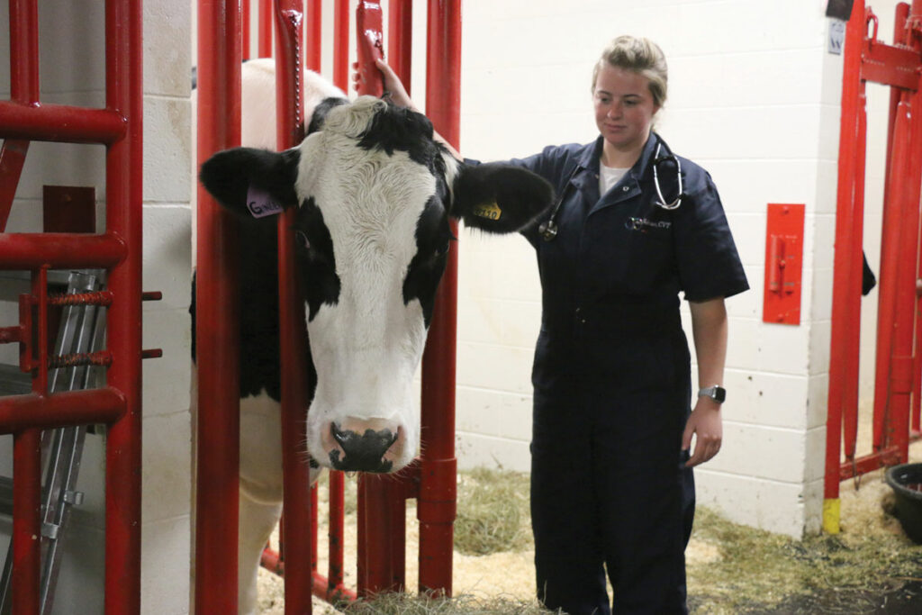 Hustle, Bustle, Compassion and Know-How: Behind the Scenes with UW ...