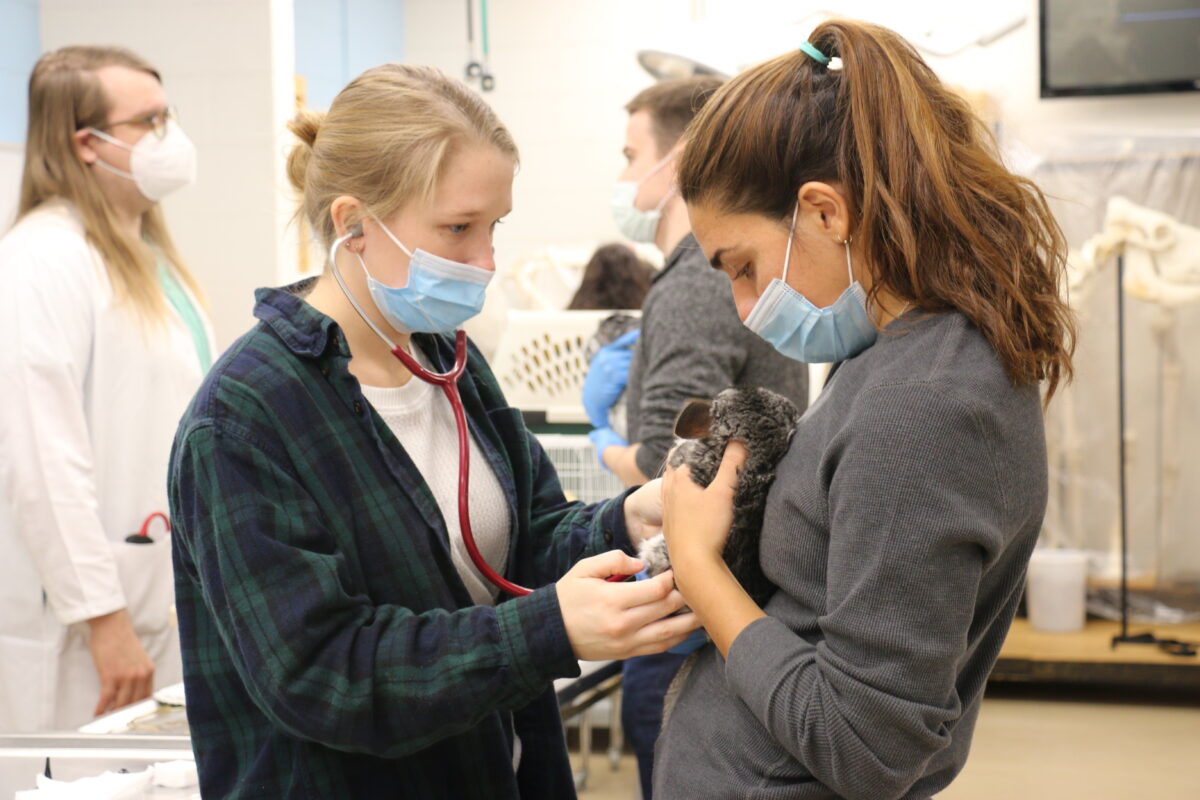 Making a Difference With Donor Support - University of Wisconsin School ...