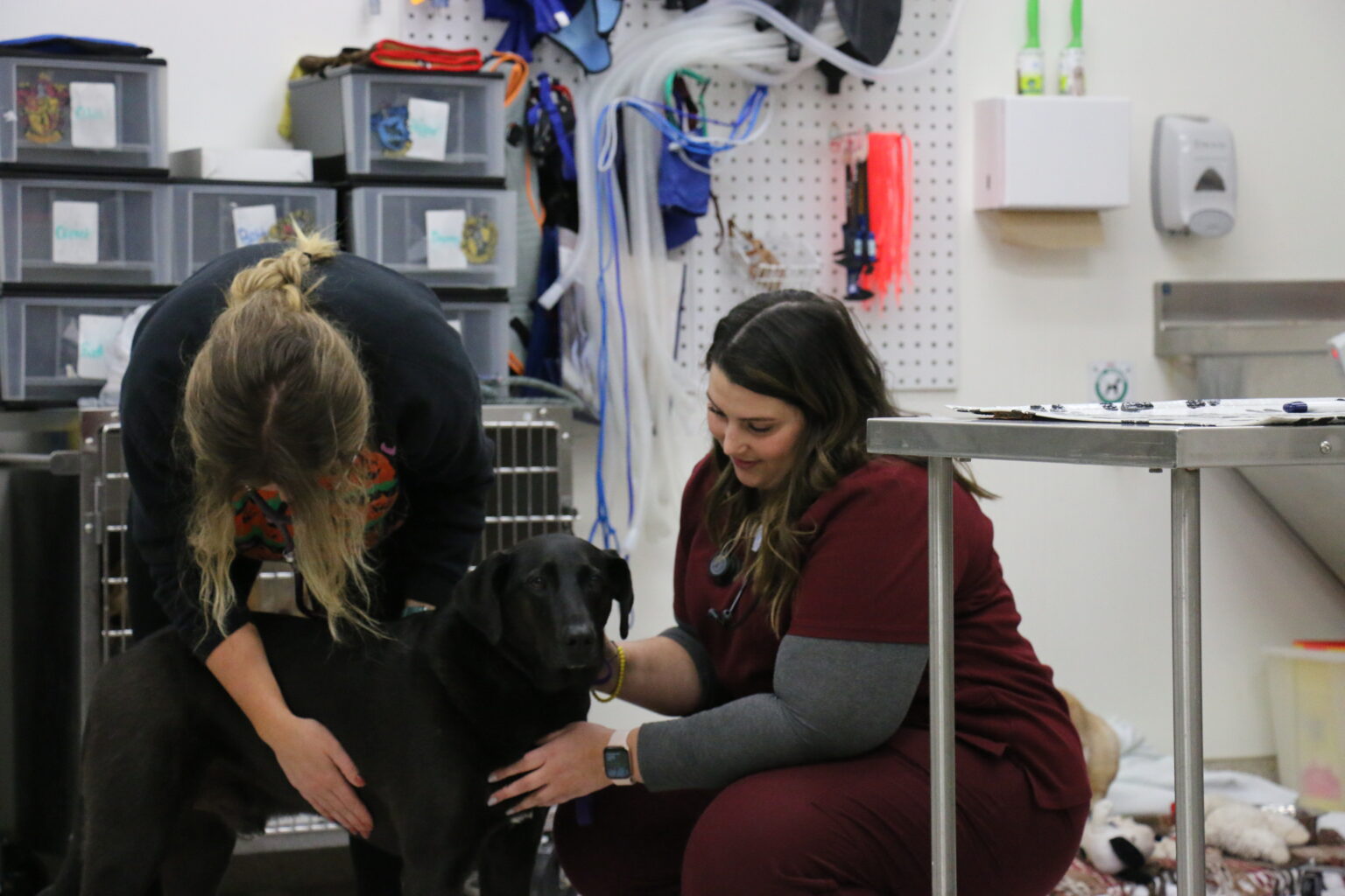 Love Your Pet? See Your Vet! - University of Wisconsin School of ...