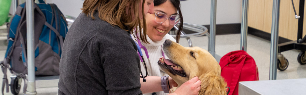 DVM Student Resources - University of Wisconsin School of Veterinary ...