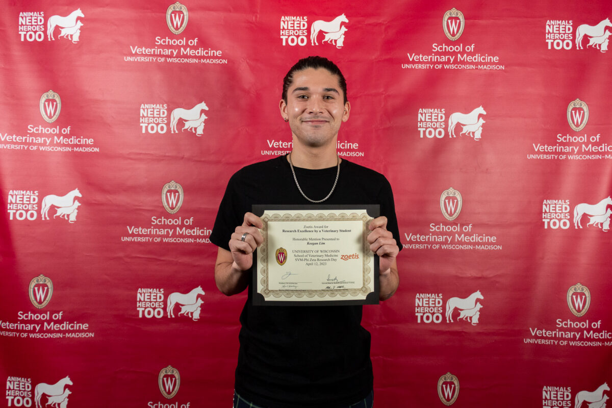 Doctor of Veterinary Medicine (DVM) - University of Wisconsin School of ...