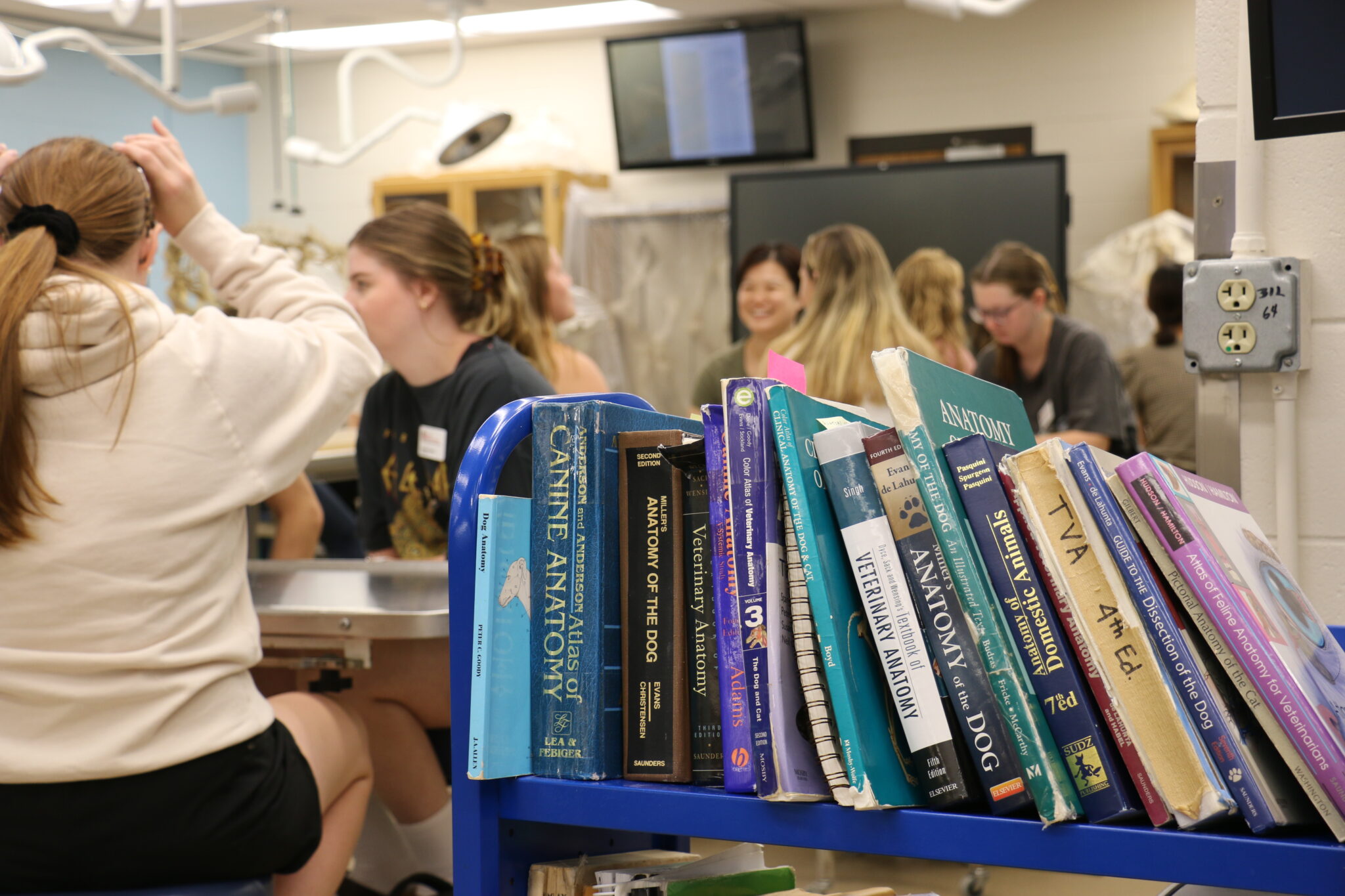 Doctor of Veterinary Medicine (DVM) - University of Wisconsin School of ...