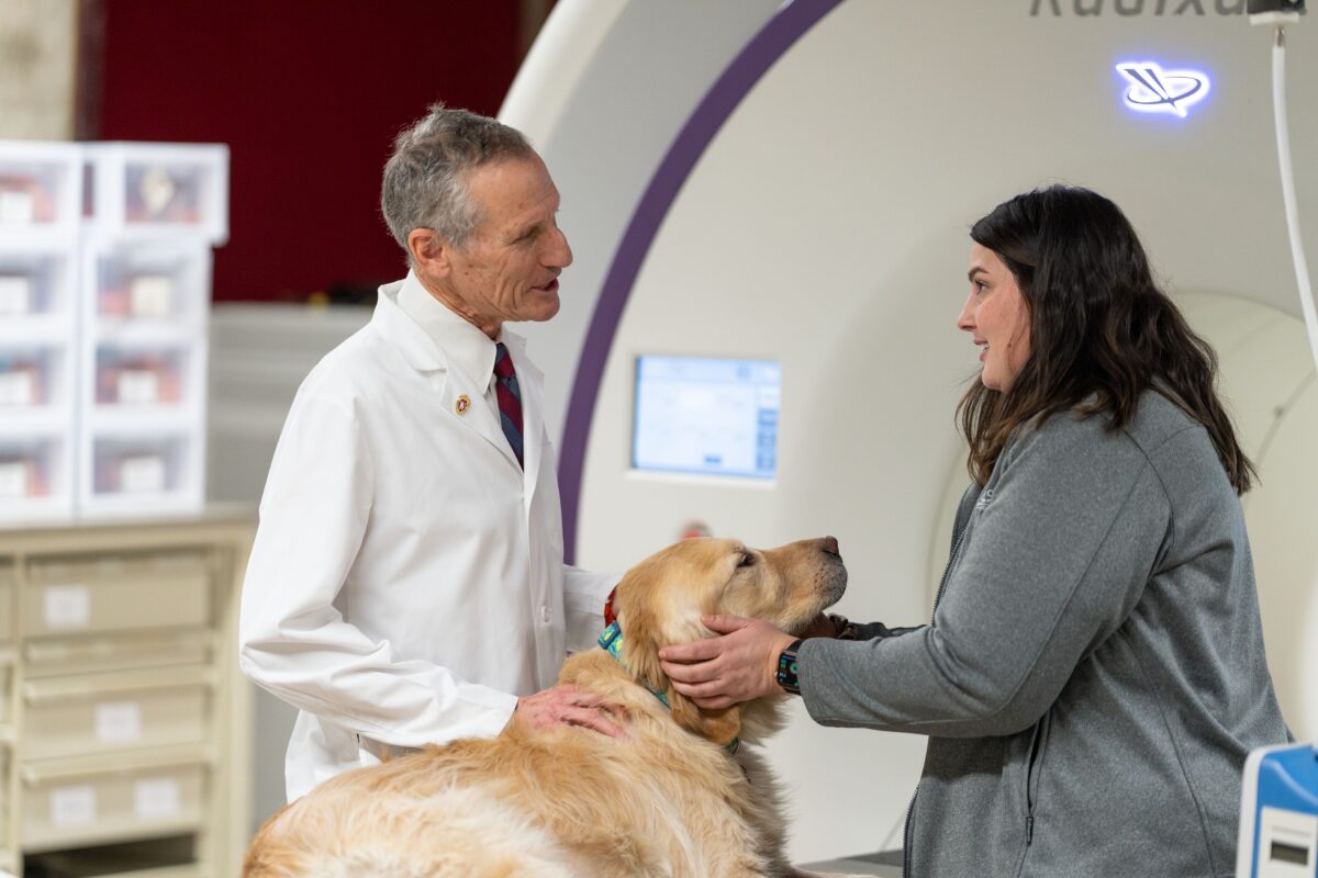 Comparative Oncology Improves Cancer Care for Pets and People - University of Wisconsin School ...
