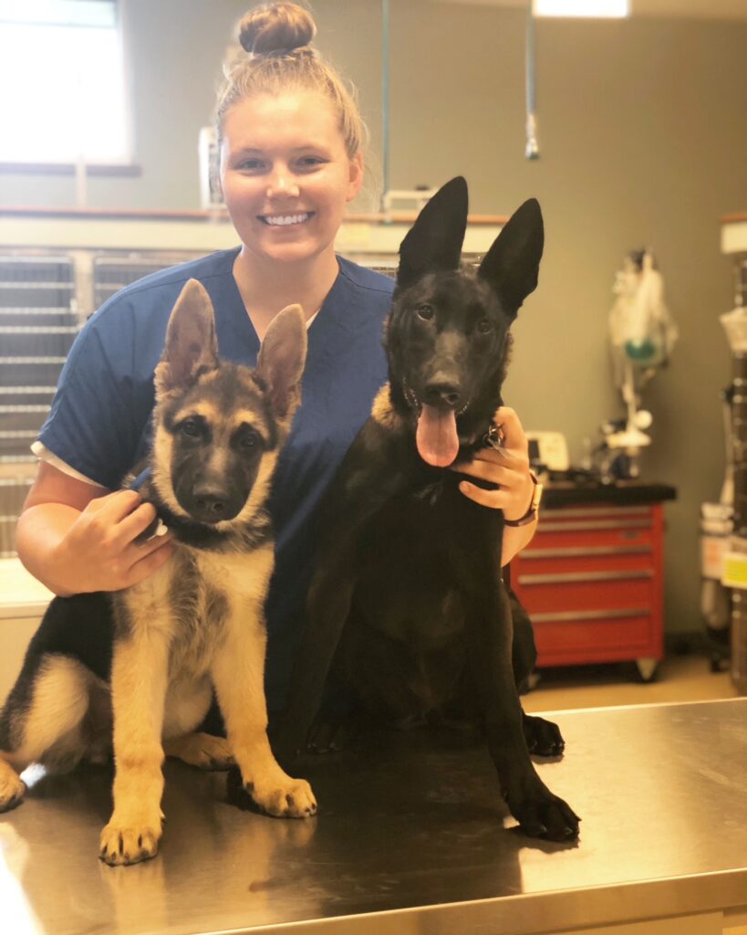 Community, Service and Unbreakable Bonds: K9 Law Enforcement Dogs ...