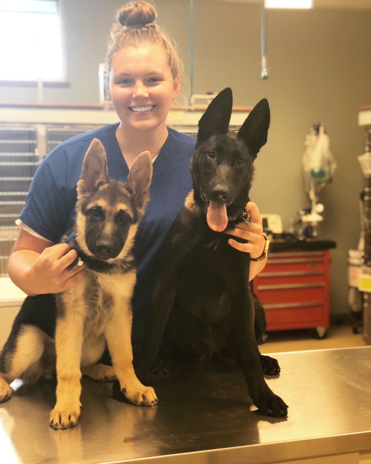 Community, Service and Unbreakable Bonds: K9 Law Enforcement Dogs ...