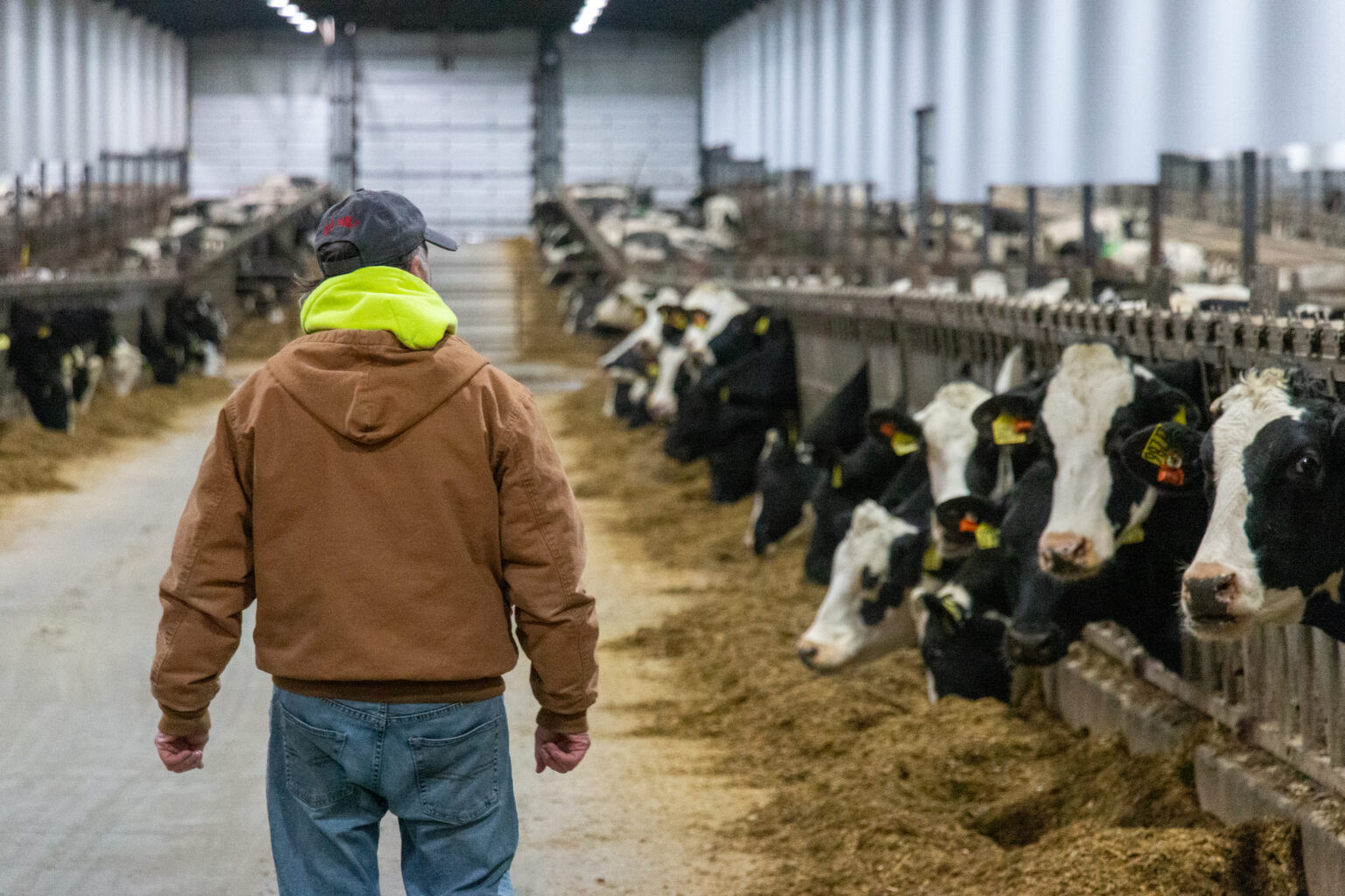 Larson Acres & The Dairyland Initiative: Collaboration, Innovation ...