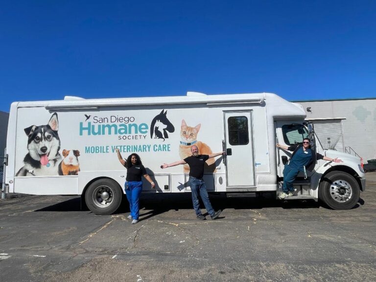 SVM alum follows winding career path guided by shelter medicine ...